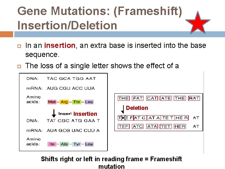 Molecular Genetics and Biotechnology What is DNA Main