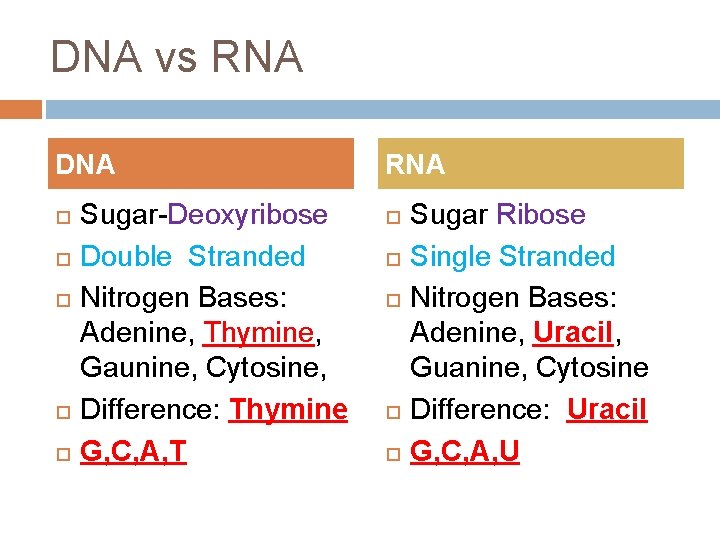 Molecular Genetics and Biotechnology What is DNA Main