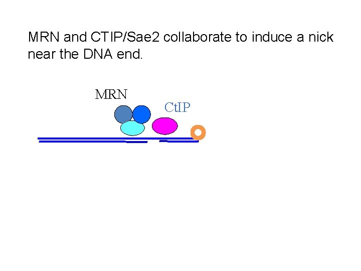 DNA damage repair good or bad for cancer