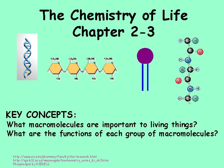 The Chemistry of Life Chapter 2 3 KEY