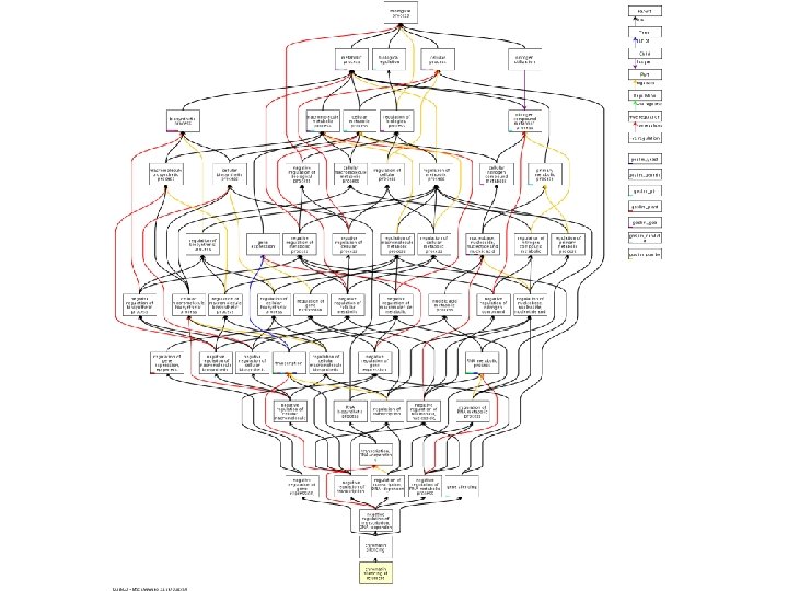 Gene Ontology and Functional Enrichment Genome 559 Introduction