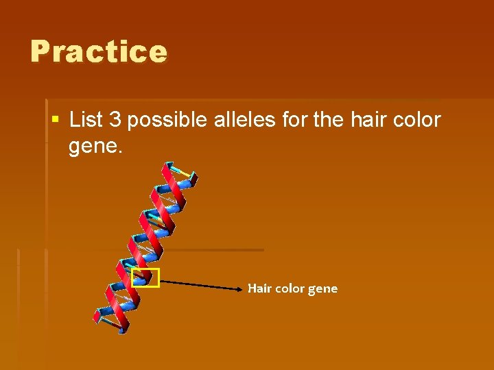 Learning Target Determine the relationship between DNA genes