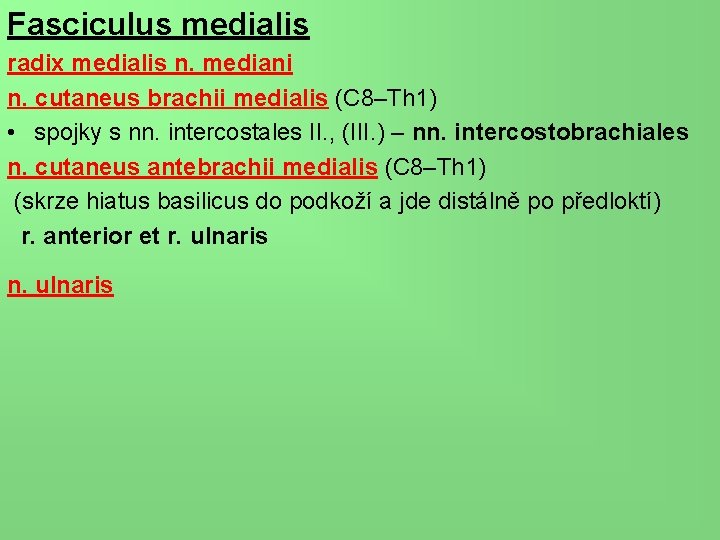 PLEXUS BRACHIALIS Nervus spinalis Plexus brachialis C 4