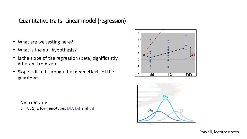 GWAS Data quality control and analysis Beben Benyamin