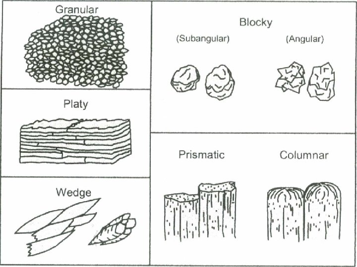 Soil Texture and Structure NC STATE UNIVERSITY DEPARTMENT