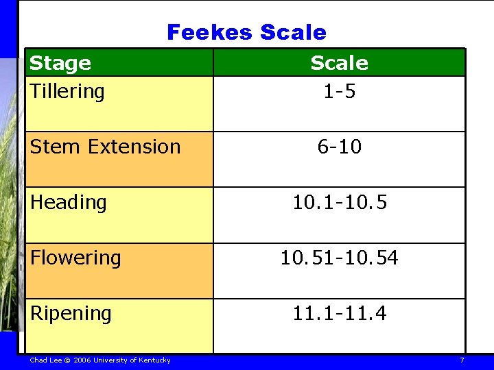 Wheat Growth and Development Presentation by Chad Lee
