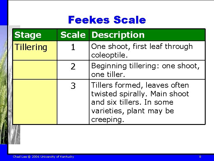 Wheat Growth and Development Presentation by Chad Lee