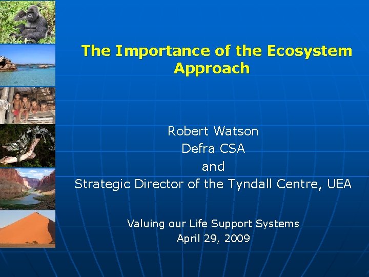 The Importance of the Ecosystem Approach Robert Watson