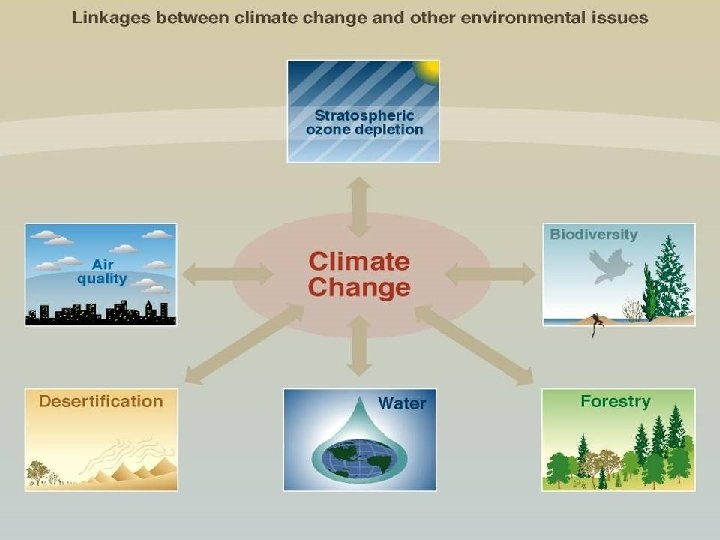 The Importance of the Ecosystem Approach Robert Watson