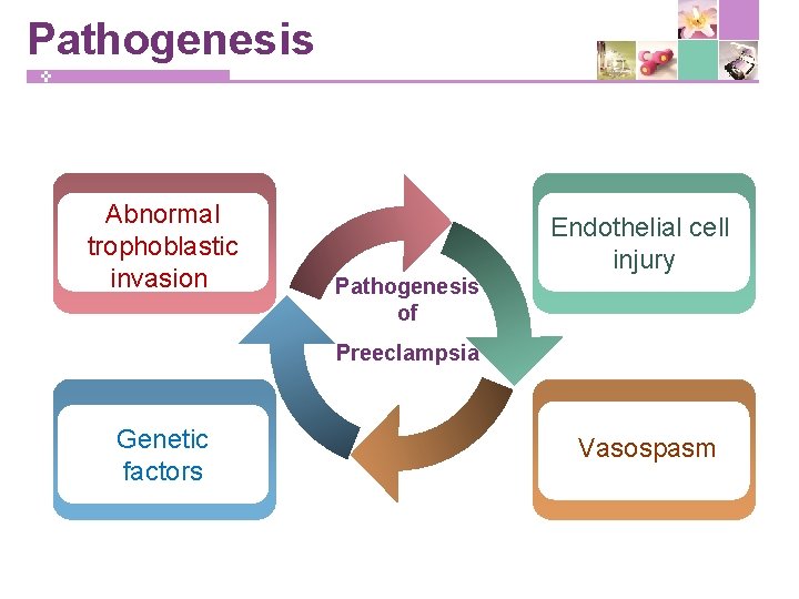 Contents Classification HT In Pregnancy Pathogenesis and Risk