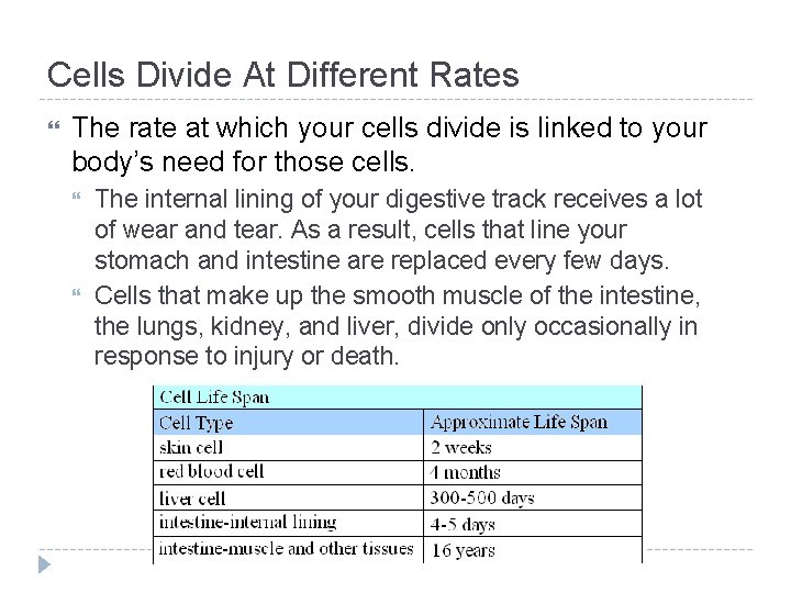 Cell Growth and Division The Cell Cycle The