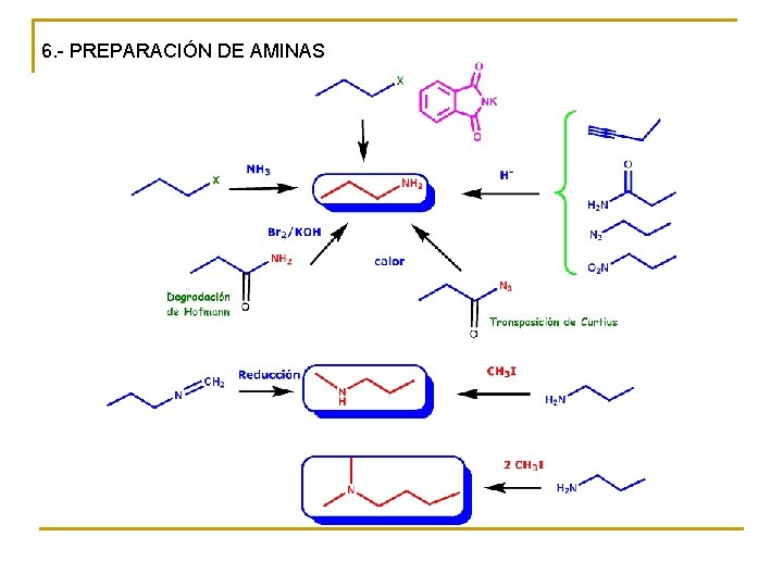 TEMA 13 AMINAS 1 INTRODUCCIN El tomo de