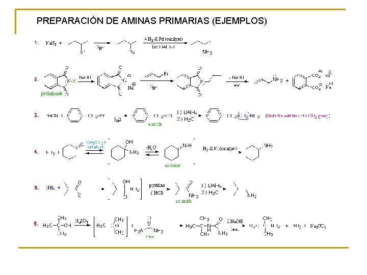 TEMA 13 AMINAS 1 INTRODUCCIN El tomo de