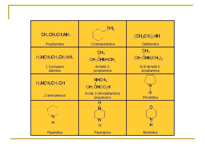 TEMA 13 AMINAS 1 INTRODUCCIN El tomo de
