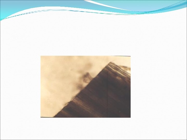 IDENTIFIKASI KLASIFIKASI DAN TAKSONOMI BAKTERI BEBERAPA CARA IDENTIFIKASI