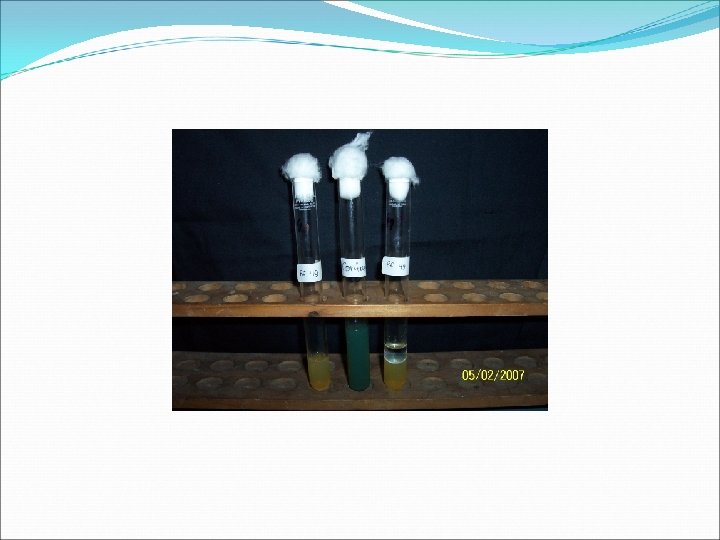 IDENTIFIKASI KLASIFIKASI DAN TAKSONOMI BAKTERI BEBERAPA CARA IDENTIFIKASI