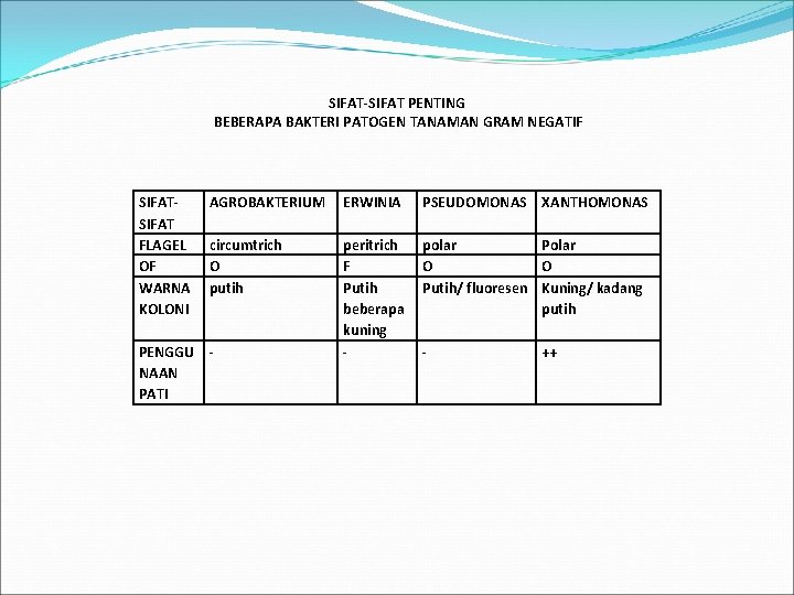 IDENTIFIKASI KLASIFIKASI DAN TAKSONOMI BAKTERI BEBERAPA CARA IDENTIFIKASI