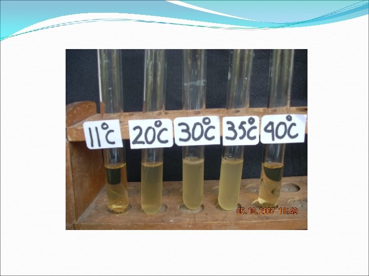 IDENTIFIKASI KLASIFIKASI DAN TAKSONOMI BAKTERI BEBERAPA CARA IDENTIFIKASI