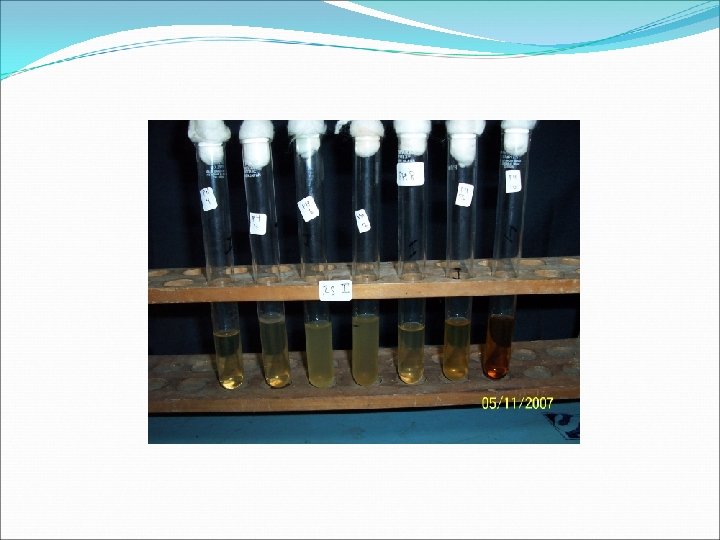 IDENTIFIKASI KLASIFIKASI DAN TAKSONOMI BAKTERI BEBERAPA CARA IDENTIFIKASI