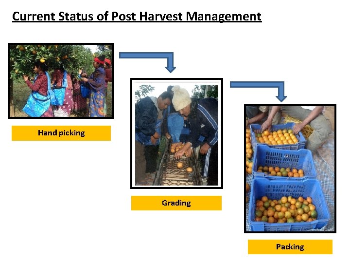 Technologies used in post harvest handling and storage