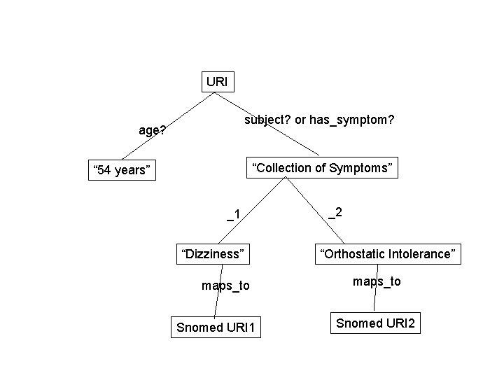 Creating RDF Representations of Patient Data Diabetes Patient