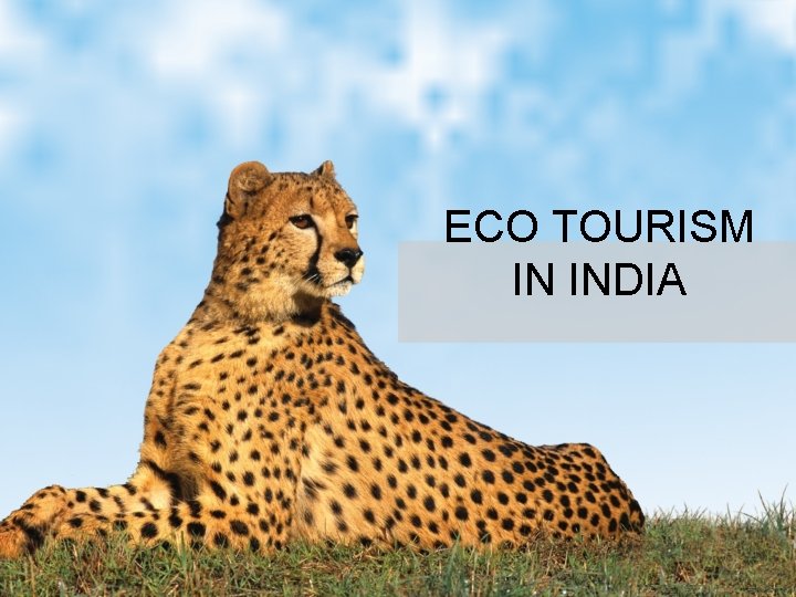ECO TOURISM IN INDIA THE ECO TOURISM SOCIETY