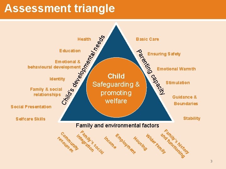 Assessing childrens developmental needs Assessment Analysis and Planning