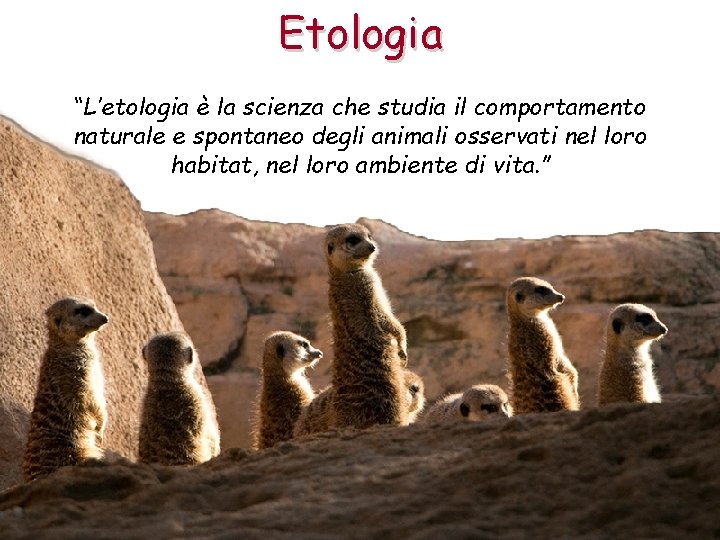 Etologia Prima parte Etologia Letologia la scienza che