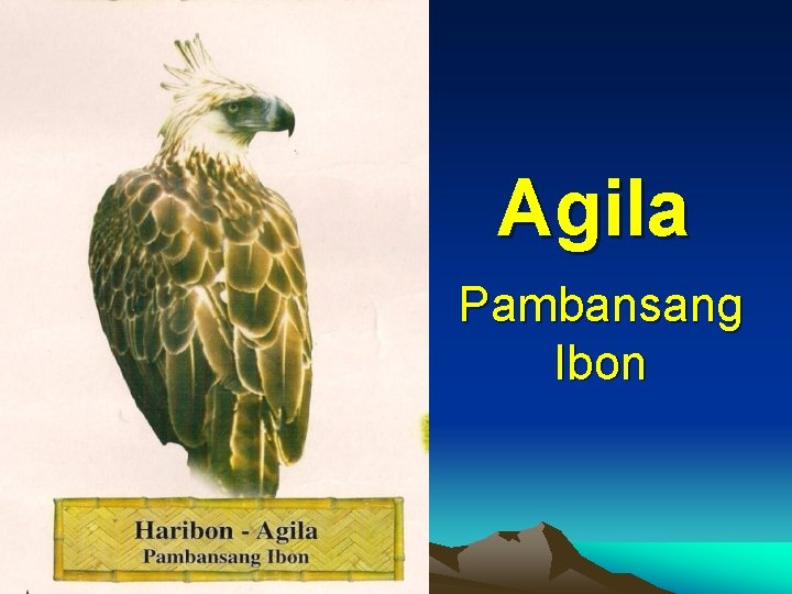 Comic Enlightenment Academy of the Philippines CEAP BUILDING