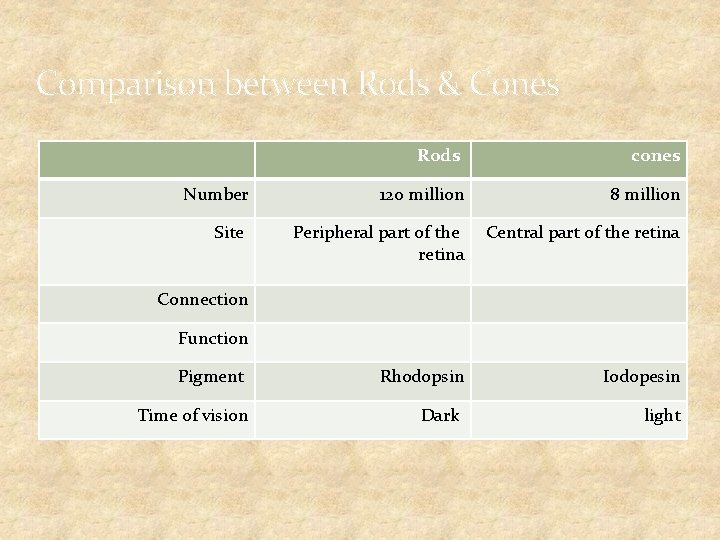 Photo transduction and image formation By Prof Dr
