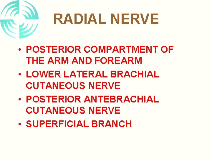 THE BRACHIAL PLEXUS WHAT IS A PLEXUS BRACHIAL