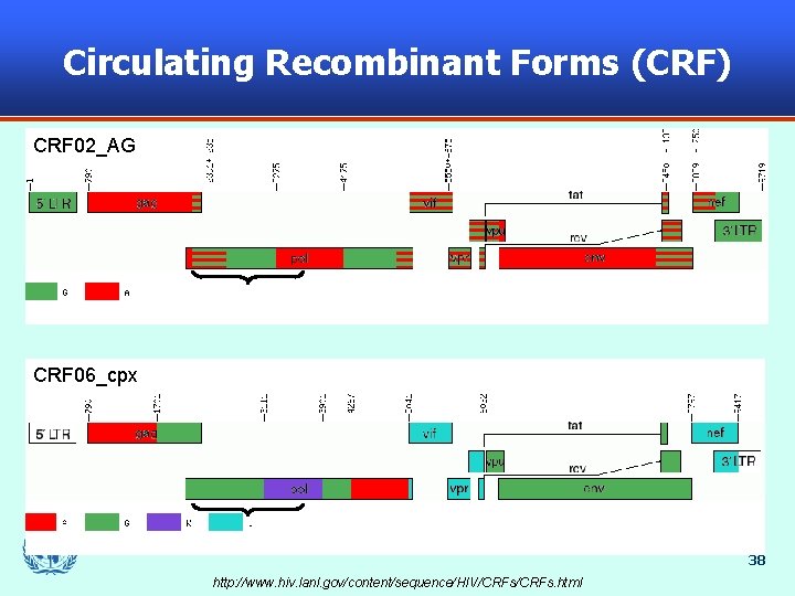 HIV Drug Resistance Training Module 6 Sequencing Interpretation