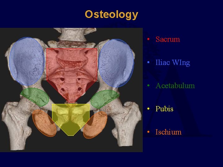 Radiographic Evaluation and Classification of Pelvic Ring Disruptions