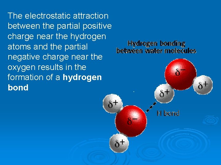 Water as a Polar Molecule Essential Question How