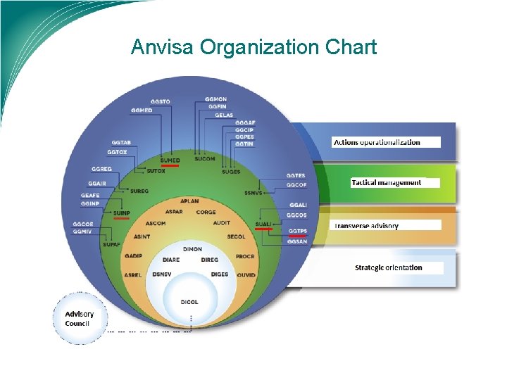 General overview of brazilian regulation on drugs and