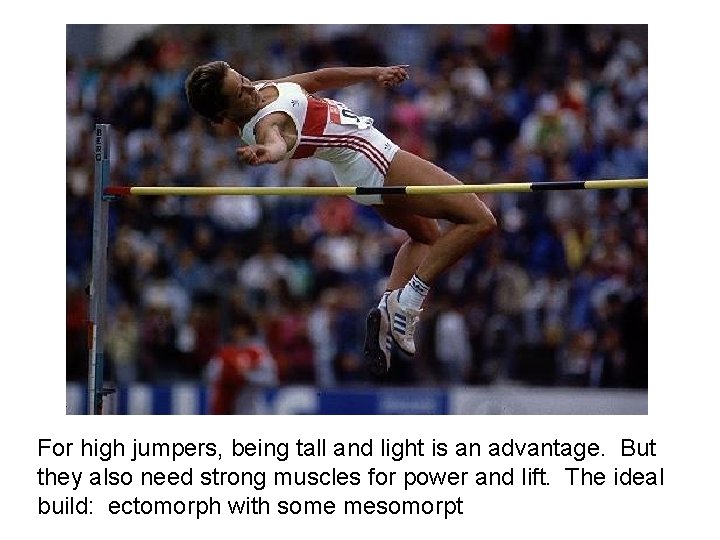 BODY DIFFERENCESSOMATOTYPES Different sports means different body shape