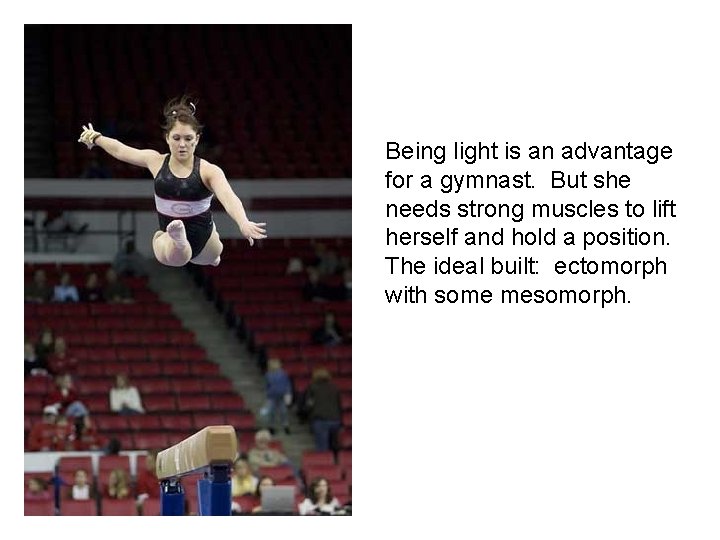 BODY DIFFERENCESSOMATOTYPES Different sports means different body shape