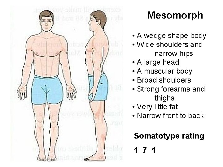 BODY DIFFERENCESSOMATOTYPES Different sports means different body shape