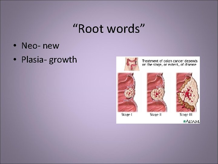 Neoplasia Oncology defined Branch of medicine that deals