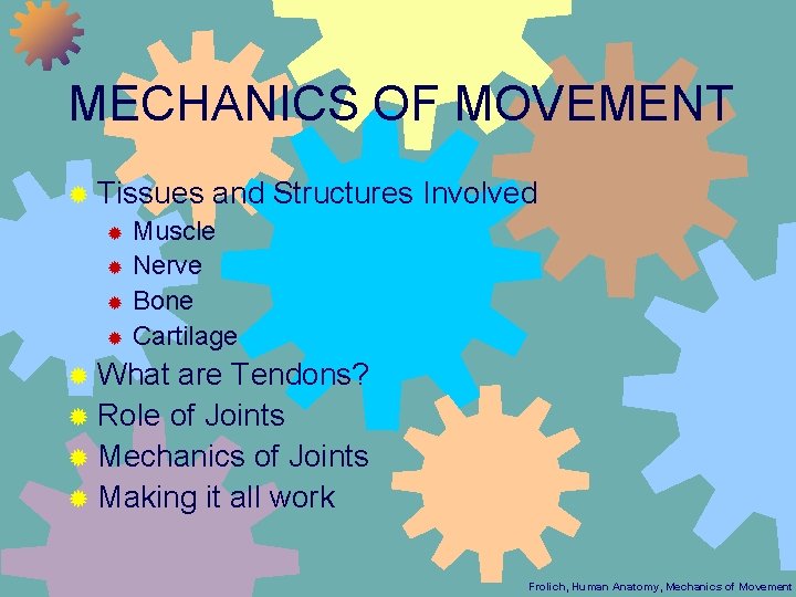 MECHANICS OF MOVEMENT Tissues and Muscle Nerve Bone