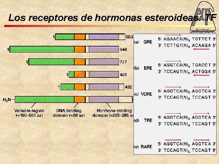 Fac Cs Ex Qcas y Nat UNIVERSIDAD NACIONAL