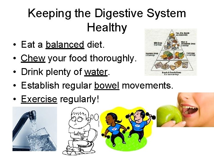 Digestion Notes Where Digestion begins in the mouth