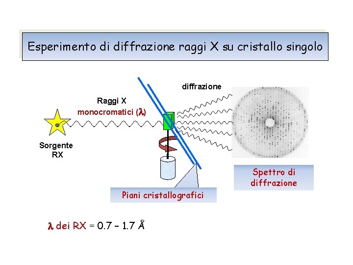 Ennio Zangrando Dipartimento di Scienze Chimiche e Farmaceutiche