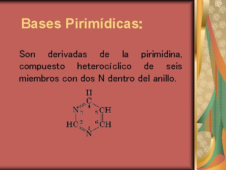 Semana 31 y 32 Capitulo 21 Los cidos