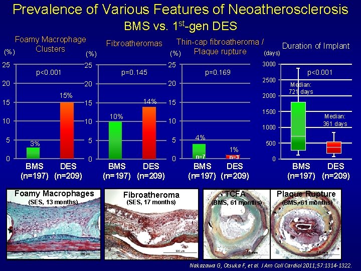 New Pathology Insights for the Vulnerable Plaque Neoatherosclerosis