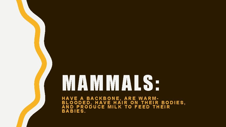 ALL ABOUT ANIMALS BY EMILY TILLEY MAMMALS HAVE