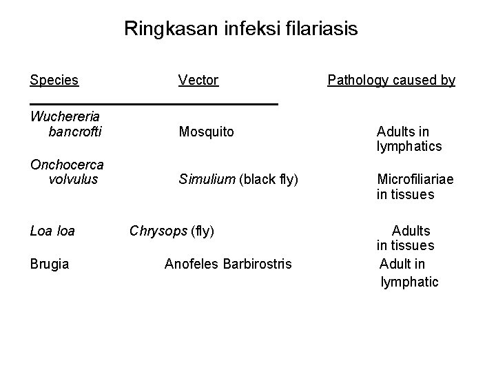 NEMATODA JARINGAN enterobius vermicularislla trichinella spiralis ...
