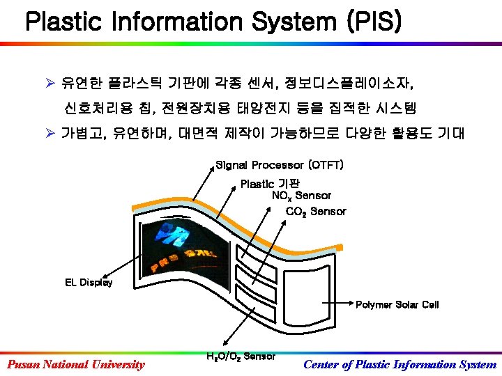 Pusan National University Center of Plastic Information System