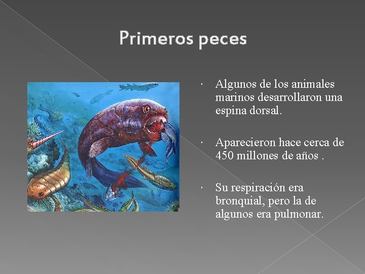 Historia de la Tierra Formacin de la Tierra