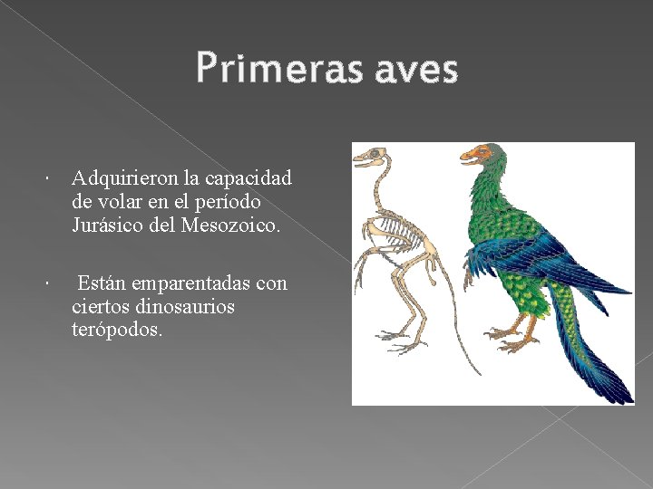 Historia de la Tierra Formacin de la Tierra